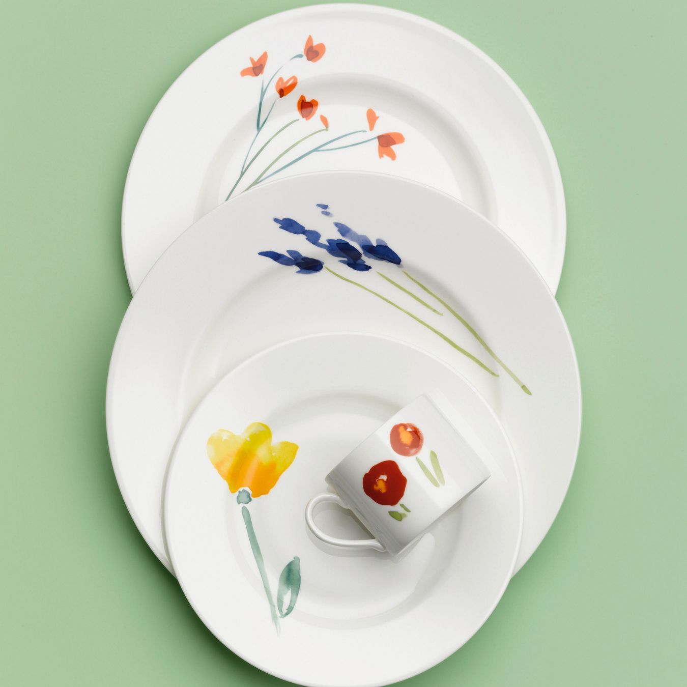 Dibbern Porzellan vom Fachhändler | geschirr-kontor.de